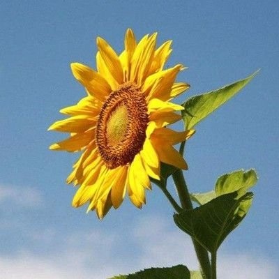 100CM Super Long Rubber Anal Tube Enemator Sex Toys, Erotic Anal ...